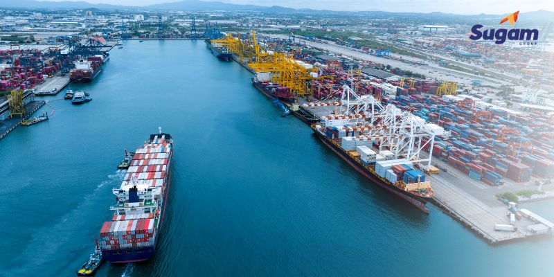 Different Types of Cargo Services: Which One is Best for Your Shipments?